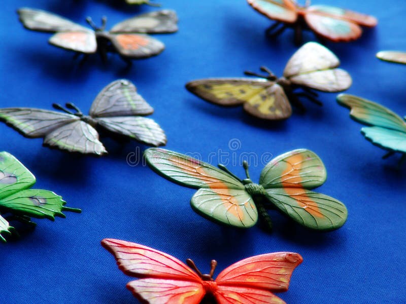 Colorful Butterflies stock photo. Image of insect, flight - 751656