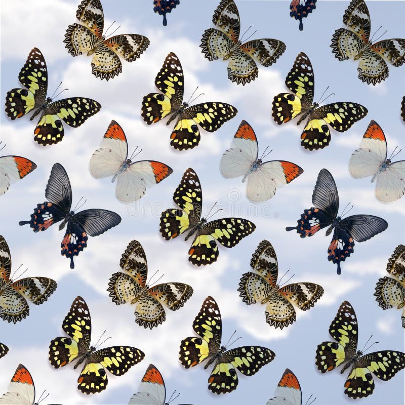 Butterflys stock illustration. Illustration of creative - 48930625