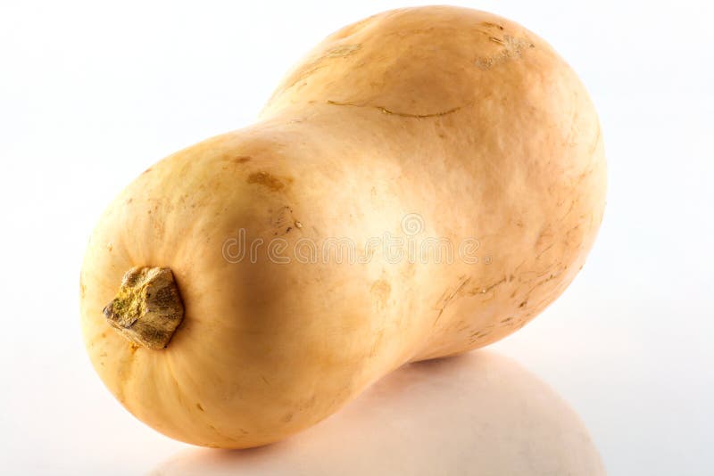 Butternut squash stock photo. Image of yellow, organic - 54452060