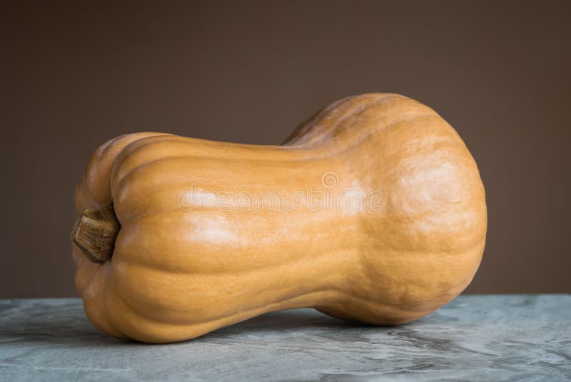 Butternut Squash, Known As Butternut Pumpkin or Gramma Stock Photo ...