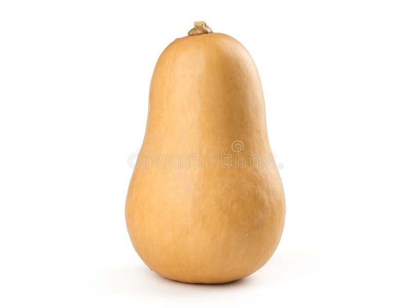 Butternut squash stock photo. Image of background, macro - 42853086