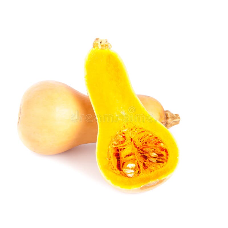 Butternut Squash on White Background Stock Image - Image of butternut ...