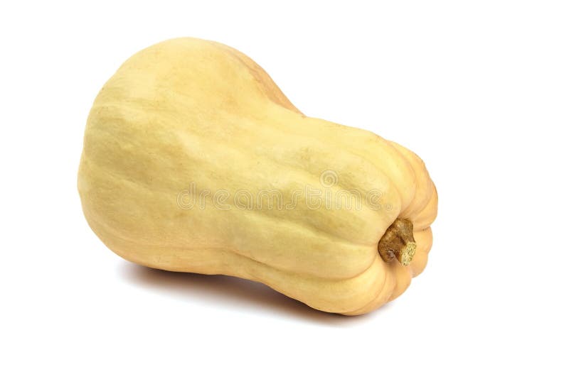 Butternut Squash Isolated on White Background. Whole Sweet Pumpkin ...