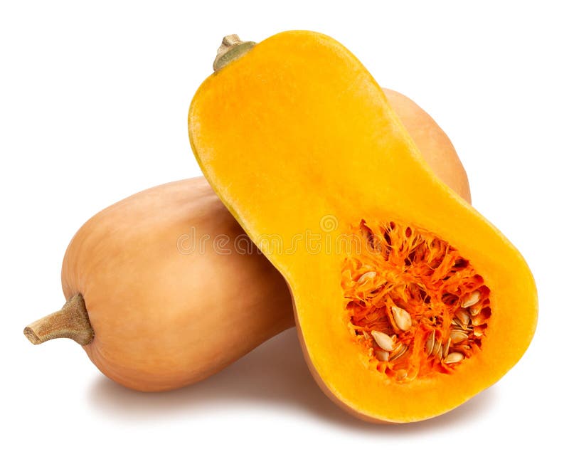 Butternut squash stock image. Image of nutrient, cutout - 135189057
