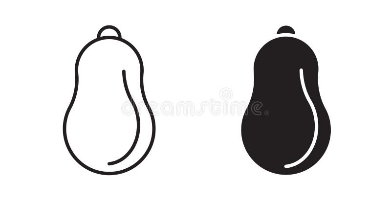 Butternut Squash Thin Line Vector Icon Set Stock Vector - Illustration ...