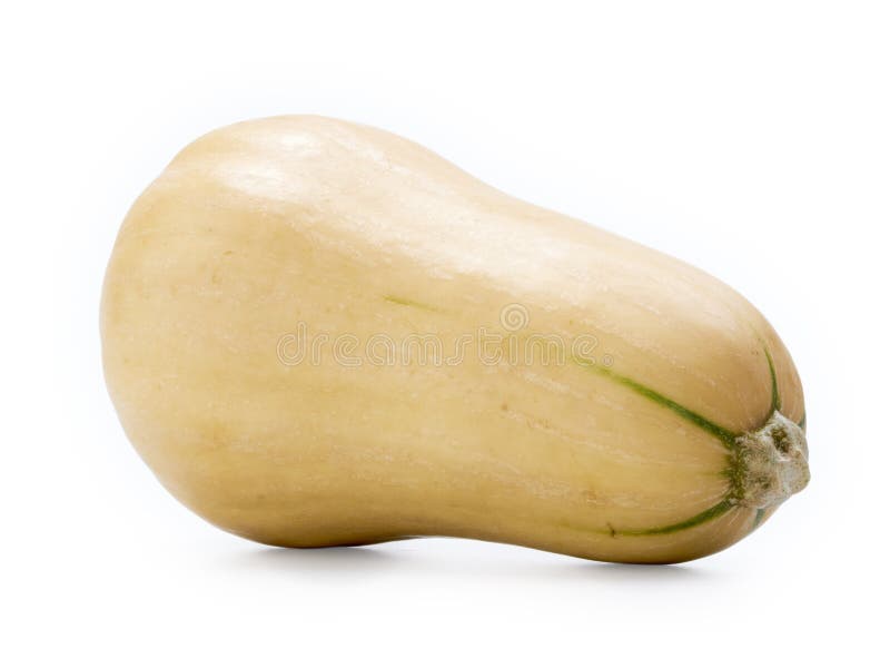 Butternut Squash on White Background Stock Image - Image of white ...