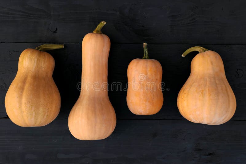 Butternut Squashes Varieties Stock Photo - Image of flat, color: 126532322