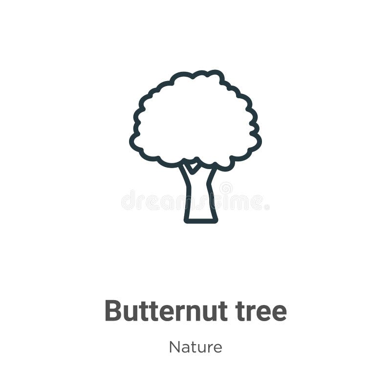 Walnut Tree Outline Stock Illustrations – 690 Walnut Tree Outline Stock ...