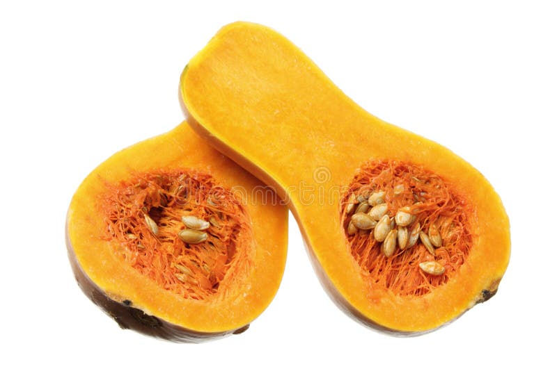 Korgbutternutpumpa arkivfoto. Bild av studio, fortfarande - 25608290