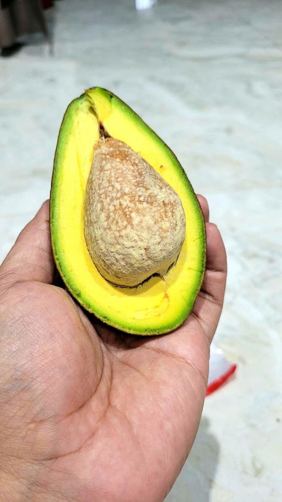 Buttery yummy avocado stock photo. Image of breakfast - 362232550