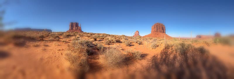 Arizona Panoramic stock image. Image of fresh, botany - 29701925