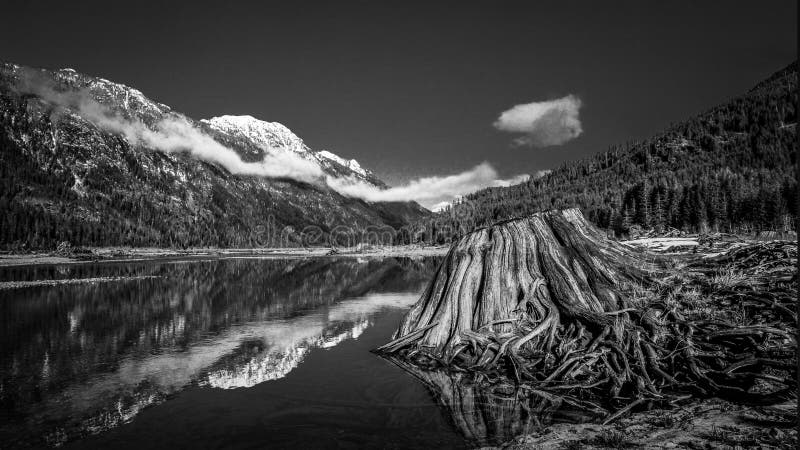 Buttle Lake, Strathcona Provincial Park Stock Photo - Image of park ...
