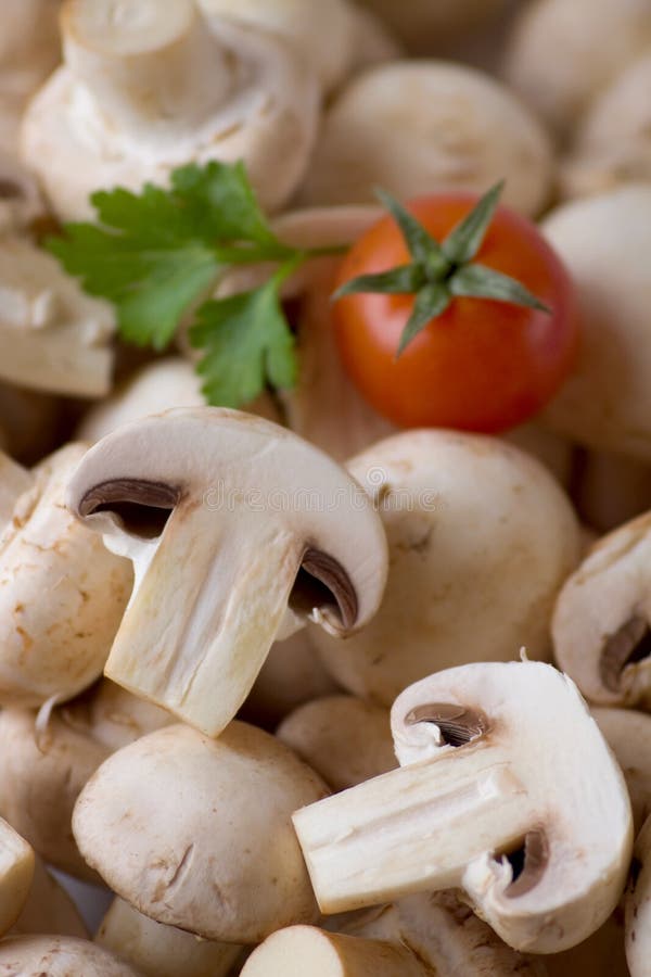 Button mushroom stock photo. Image of champignon, mushroom - 13089946