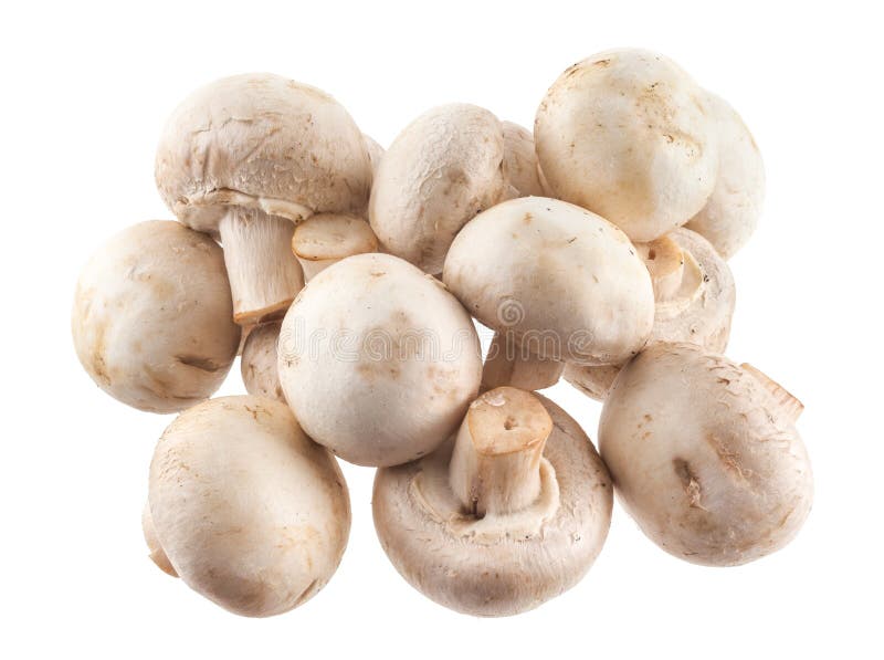 Button Mushroom Royalty Free Stock Photos - Image: 36631688