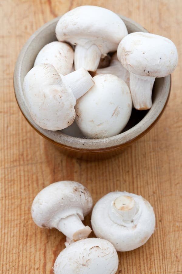 Button mushrooms stock photo. Image of brown, bisporus - 11722664