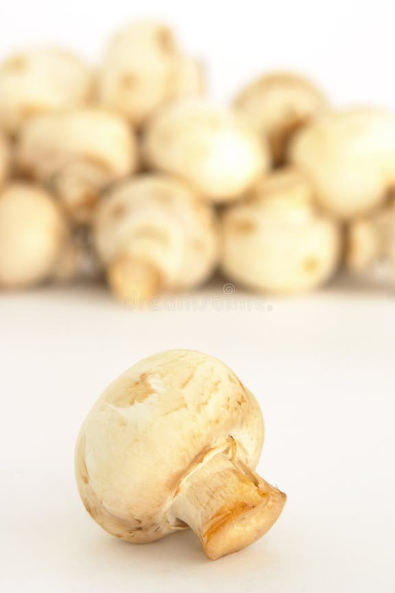 Button mushrooms stock image. Image of luxury, fungus, autumn - 174383