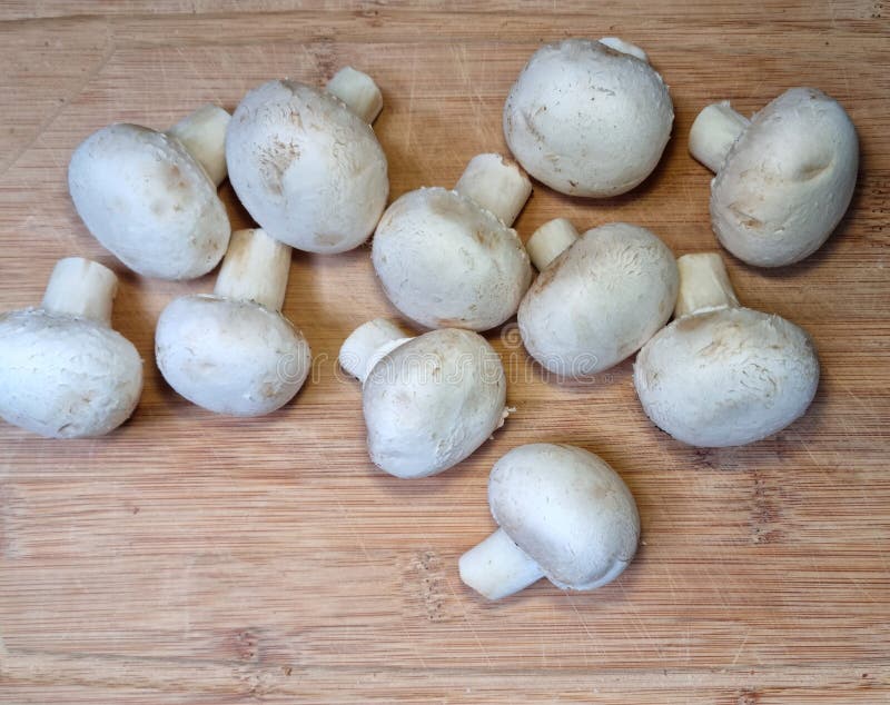 Button mushrooms stock image. Image of button, food - 336151401