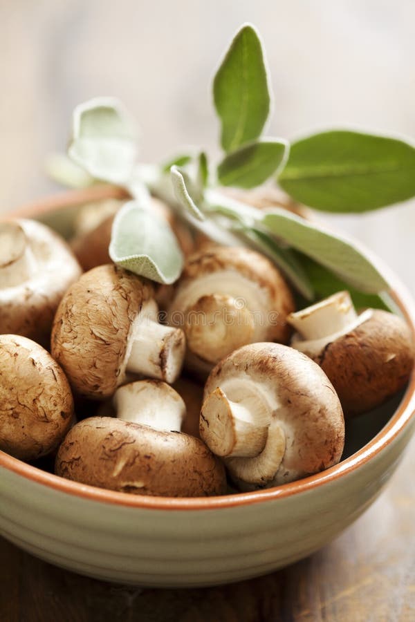 Button mushrooms stock photo. Image of group, health - 72313636