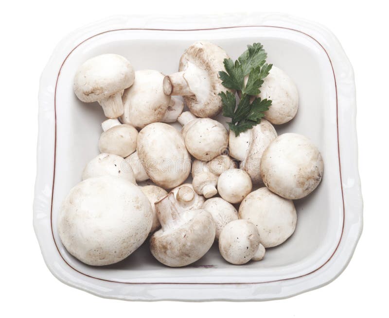 Button Mushrooms stock image. Image of drink, mushrooms - 36332943