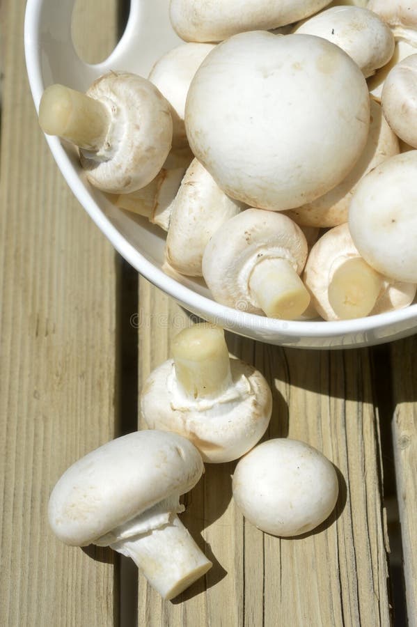 Button mushrooms. stock photo. Image of white, brown - 42947446