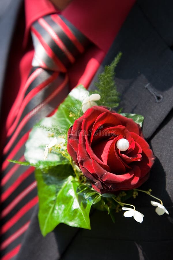 Groom Red Rose Buttonhole Wedding Stock Image - Image of occassion ...
