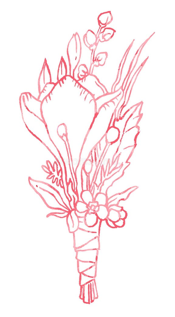 Buttonhole pink stock vector. Illustration of poster - 55978231