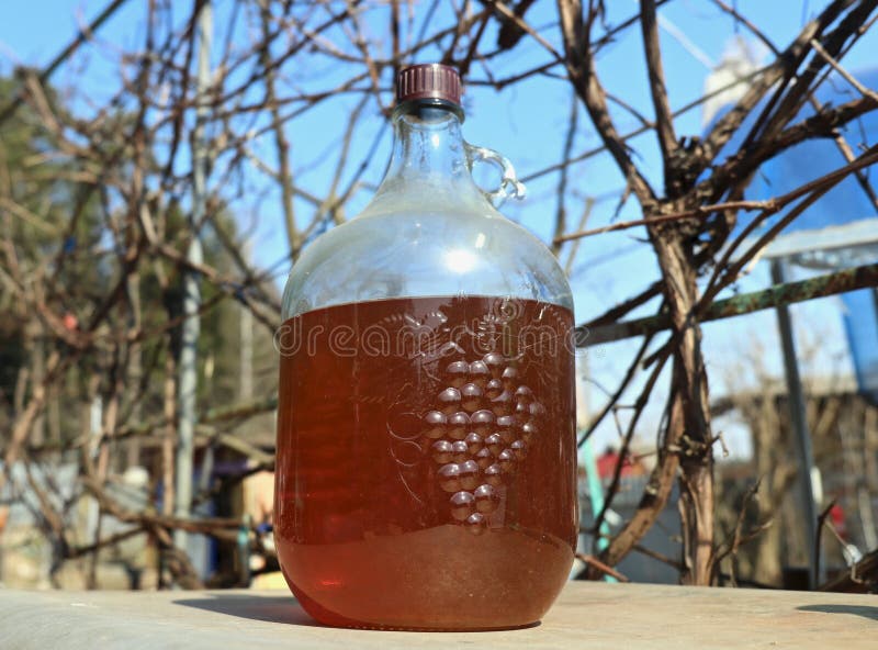 Homemade grape jelly stock image. Image of design, gelatin - 101371453