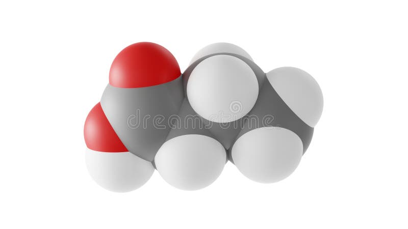 Butyric Acid Molecule, Butanoic Acid, Molecular Structure, Isolated 3d ...