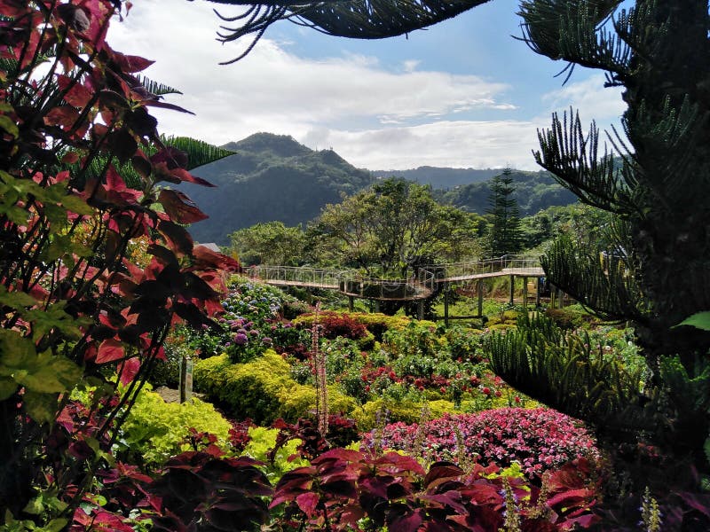 Ni Alejandra Stock Photos - Free & Royalty-Free Stock Photos from ...