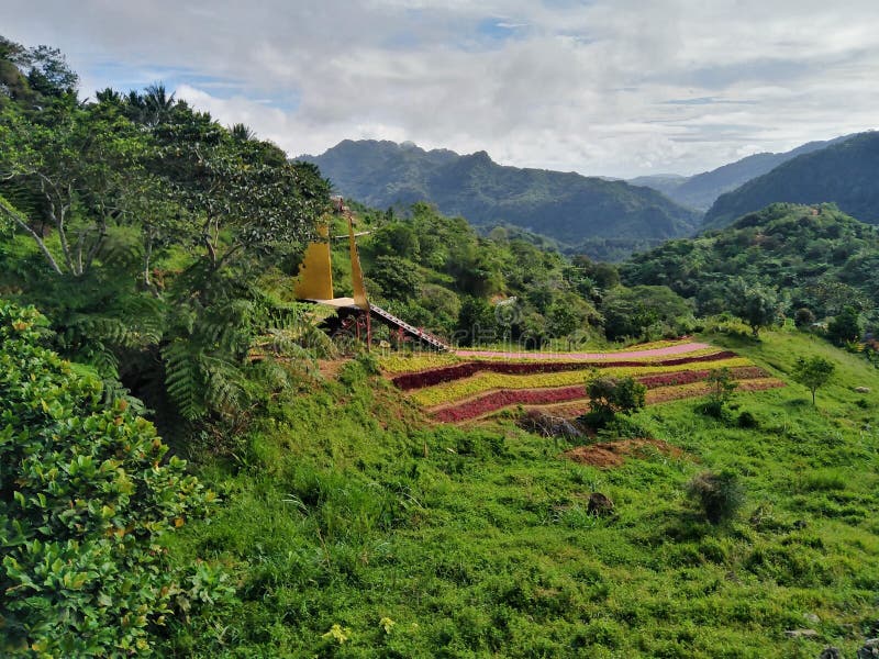 Ni Alejandra Stock Photos - Free & Royalty-Free Stock Photos from ...