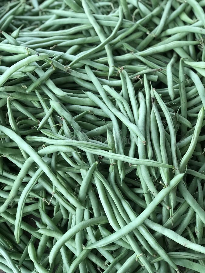 Buying beans stock photo. Image of fresh, buying, market - 204614180