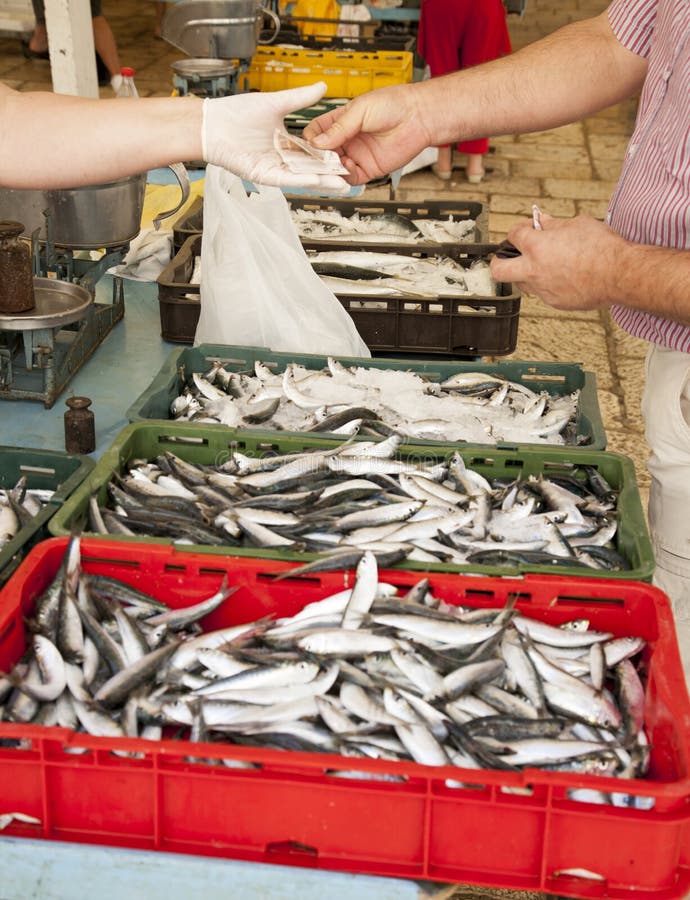 Buying Fresh Fish on Market Stock Image - Image of focus, blue: 32244855