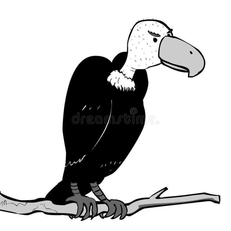 Cartoon Buzzard Stock Illustrations – 2,159 Cartoon Buzzard Stock ...