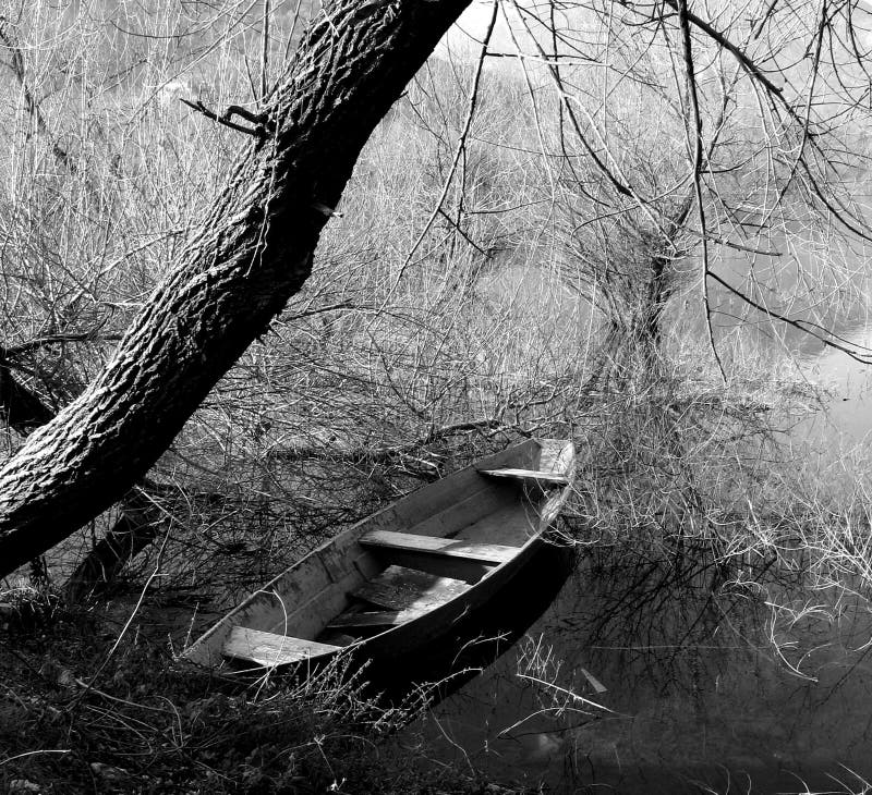 BW Canoe under the tree stock photo. Image of canoes, black - 456766