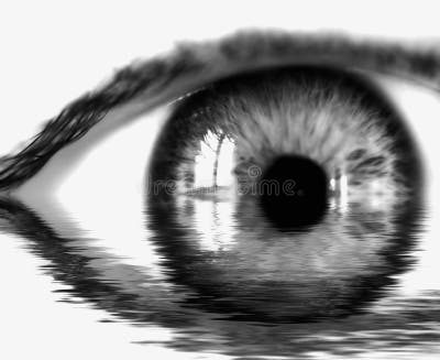 BW reflection eye stock image. Image of white, reflection - 551295