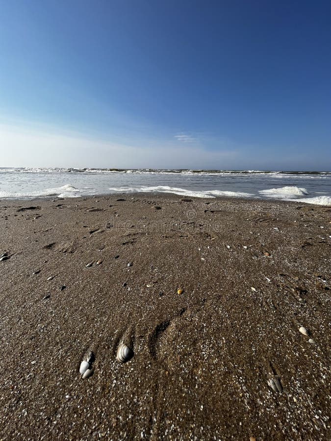 Bye bye from the sea stock photo. Image of bathing, food - 274742108