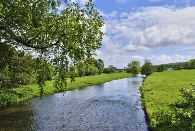 Frodig Engelsk Grön Lake För Bygdområde Arkivfoto - Bild av damm ...