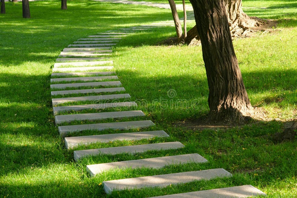 Bypath stock photo. Image of tree, outdoor, grass, nature - 11004238