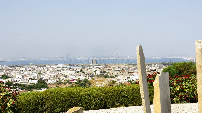 Byrsa Ruins of Carthage, Tunisia Stock Photo - Image of stone, trees ...