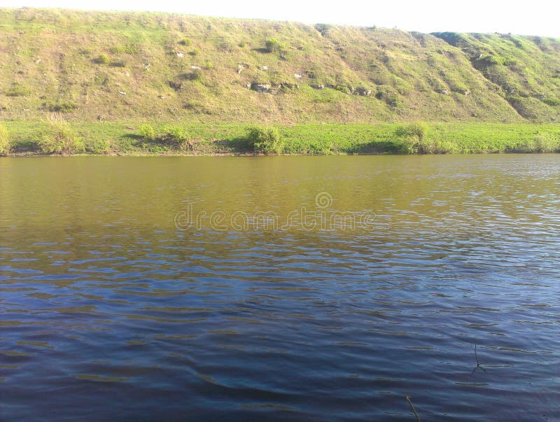 The Bystraya river Pine stock photo. Image of places - 44039562