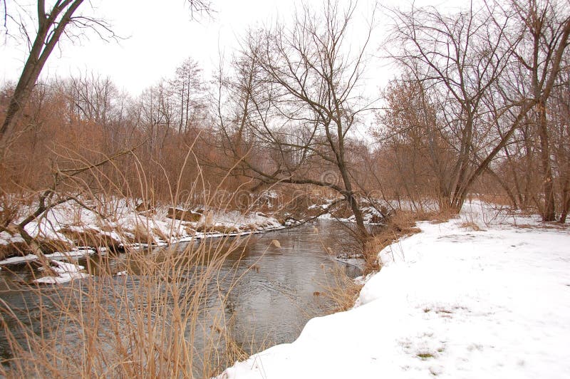 Bystrzyca River view stock image. Image of nature, tree - 38667857