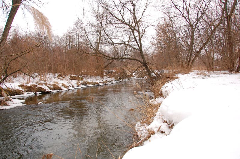 Bystrzyca River view stock photo. Image of branch, peaceful - 38668062