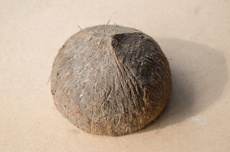 Cáscara Seca Del Coco En El Piso De Madera Imagen de archivo - Imagen ...