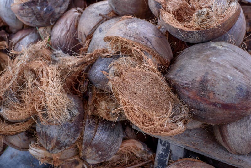 Coco Frutos Secos Y Aceite Aislado Sobre Fondo Blanco Imagen de archivo ...