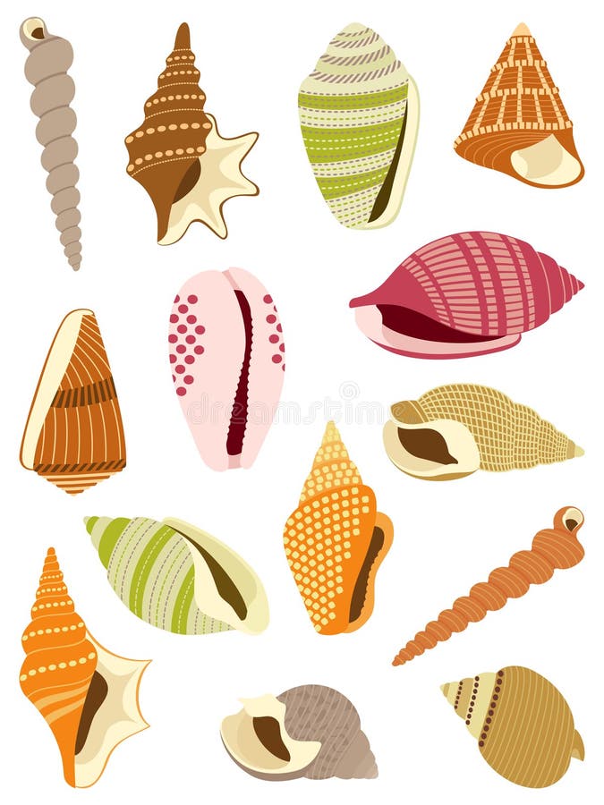 Cáscaras De Los Caracoles De Mar Ilustración del Vector - Ilustración ...
