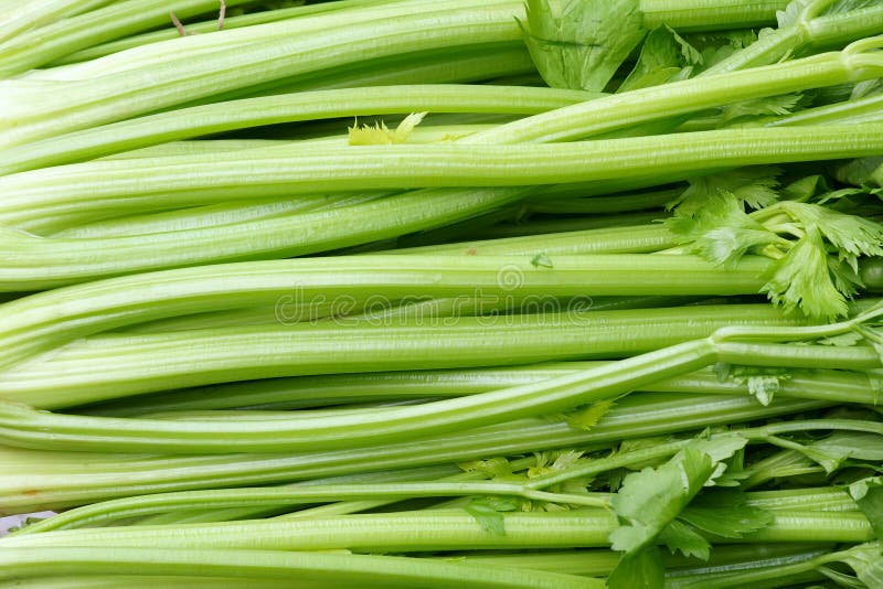 Céleri image stock. Image du légumes, frais, céleri, fermer - 25869359