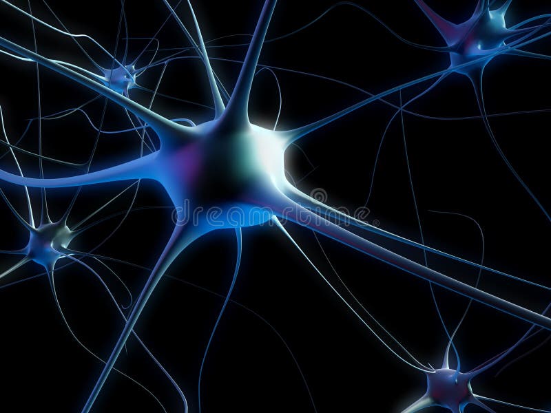 Célula De La Neurona, Neuronas En El Fondo Blanco, Sola Célula De La ...