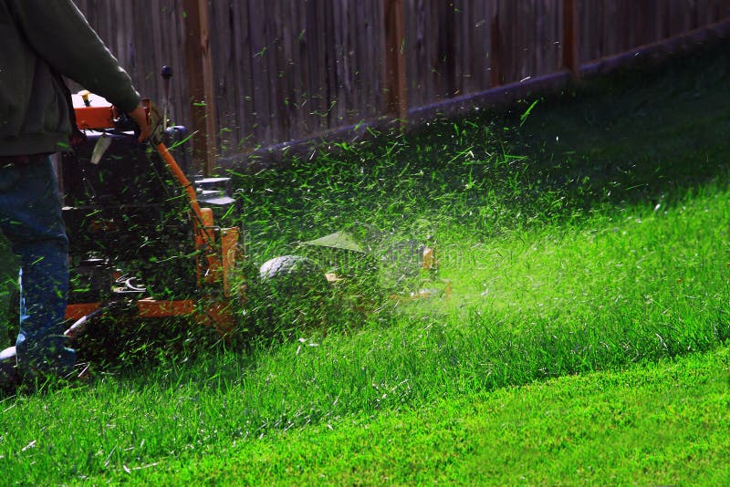 Césped de siega imagen de archivo. Imagen de ajuste, prado - 45847525