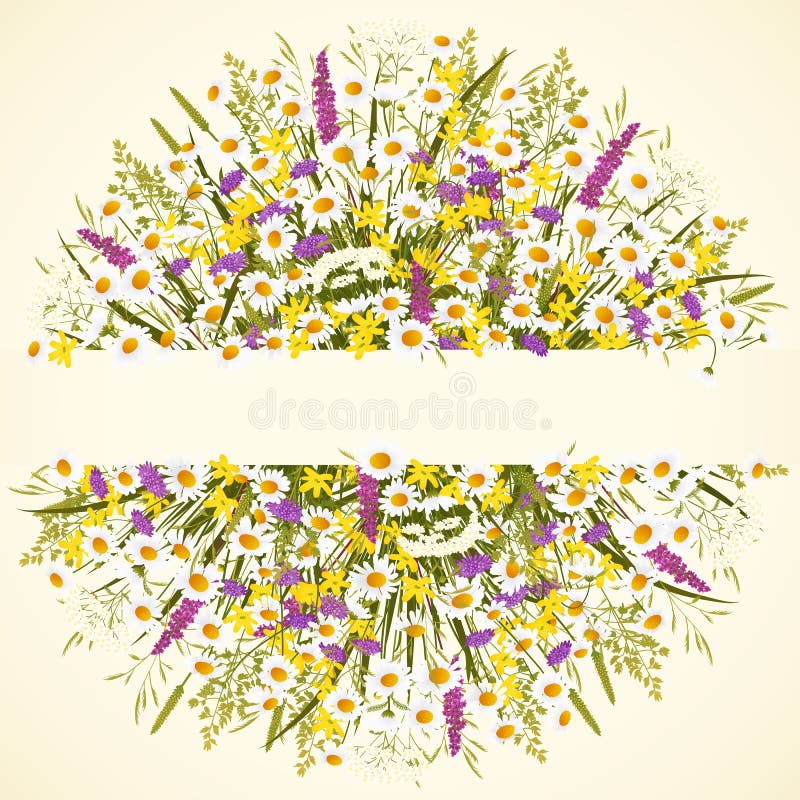 Círculo con las flores ilustración del vector. Ilustración de floral ...