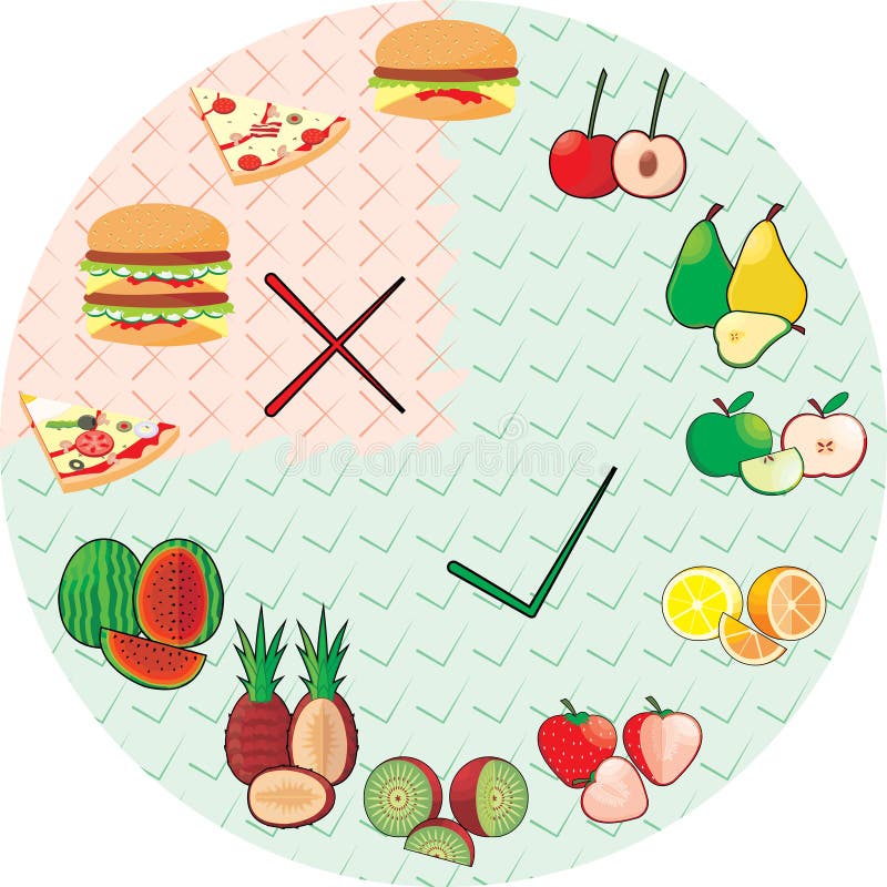 Sistema Del Círculo De La Comida Ilustración del Vector - Ilustración ...